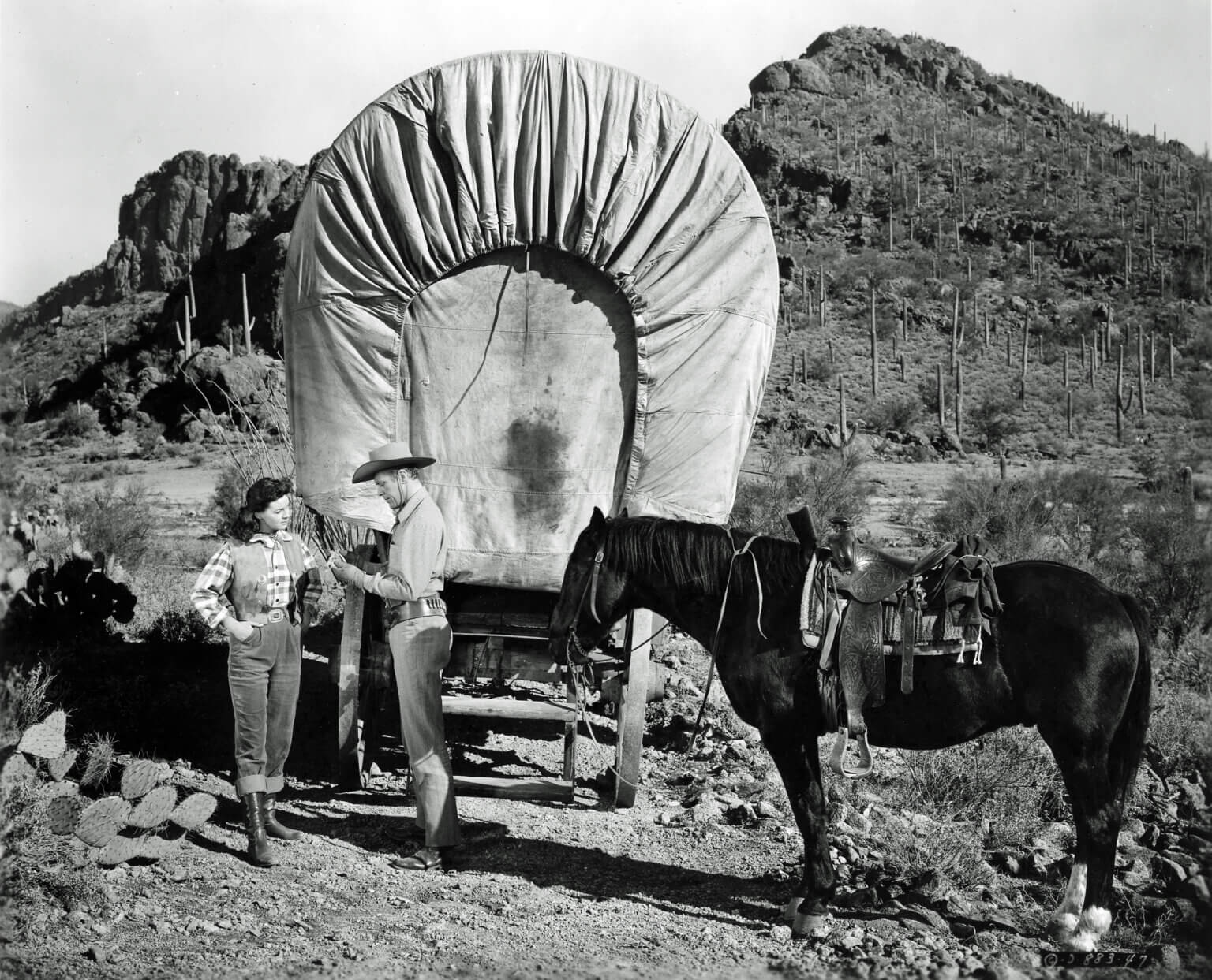 The True Family History | White Stallion Ranch